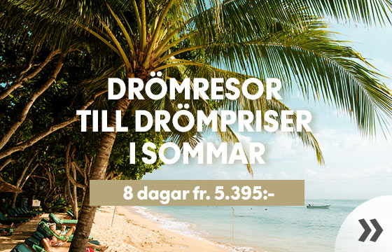 Resor med charter och reguljärflyg - Boka din resa hos Ving